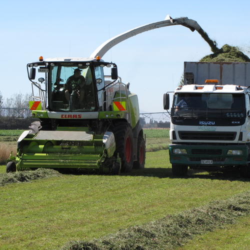 mccarthycontracting.co.nz/ | Gallery